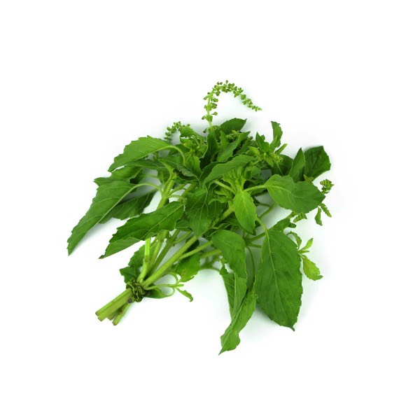 Hot Basil - Angkor Food